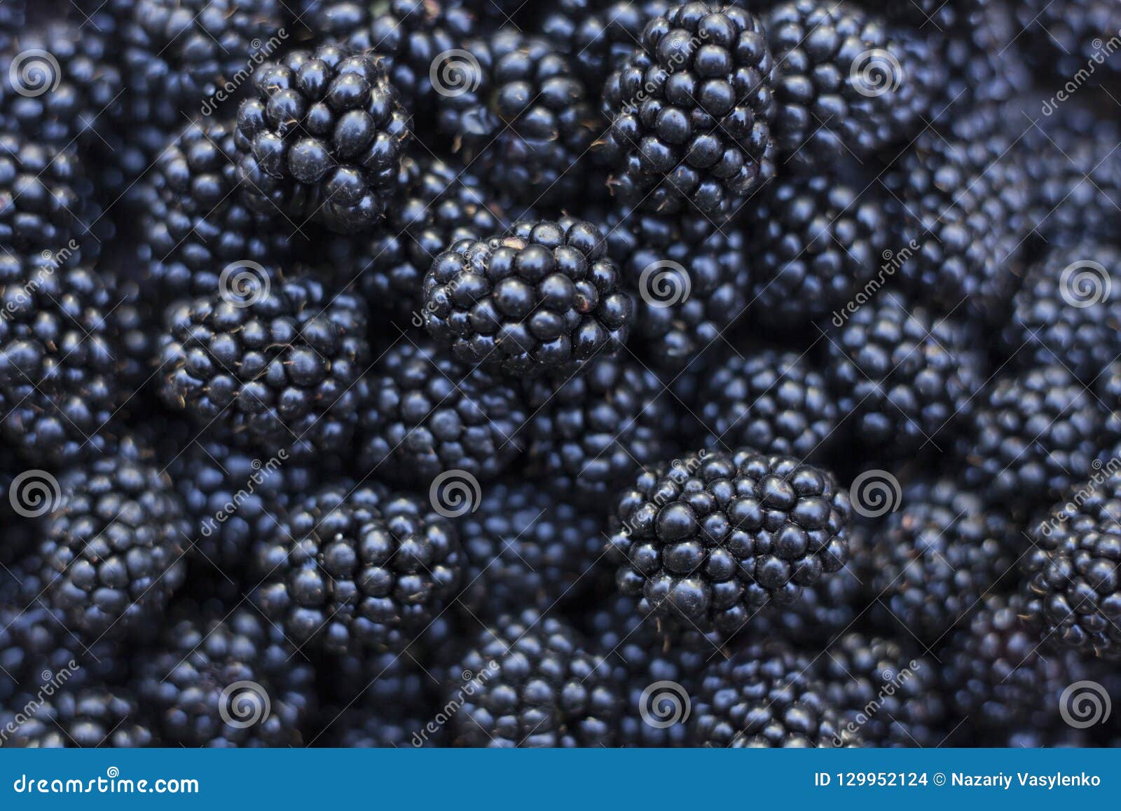 Fresh Blackberries Background Stock Photo - Image of diet, agriculture ...