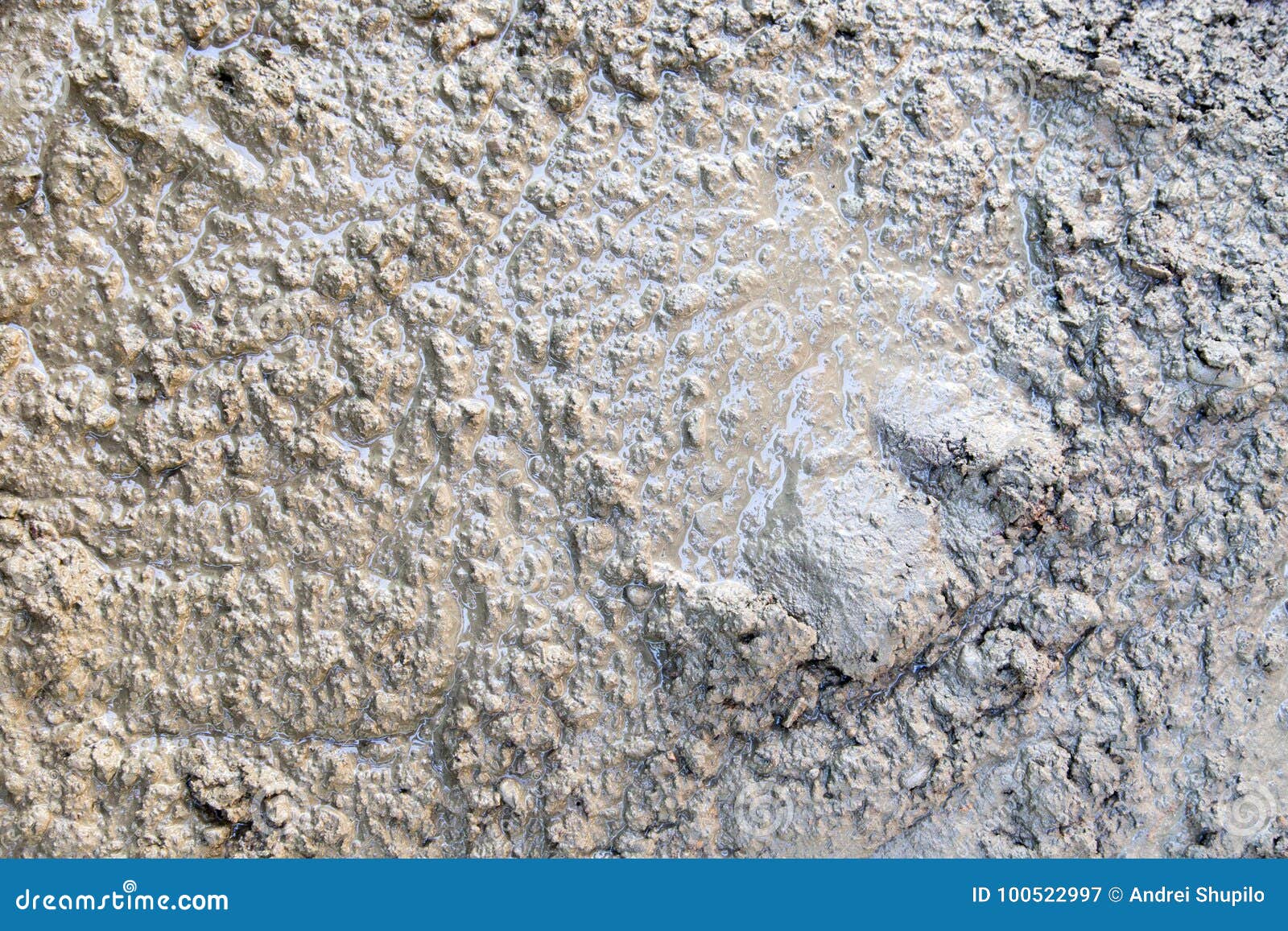 Background of the Fresh Cement Solution . Stock Image - Image of house ...