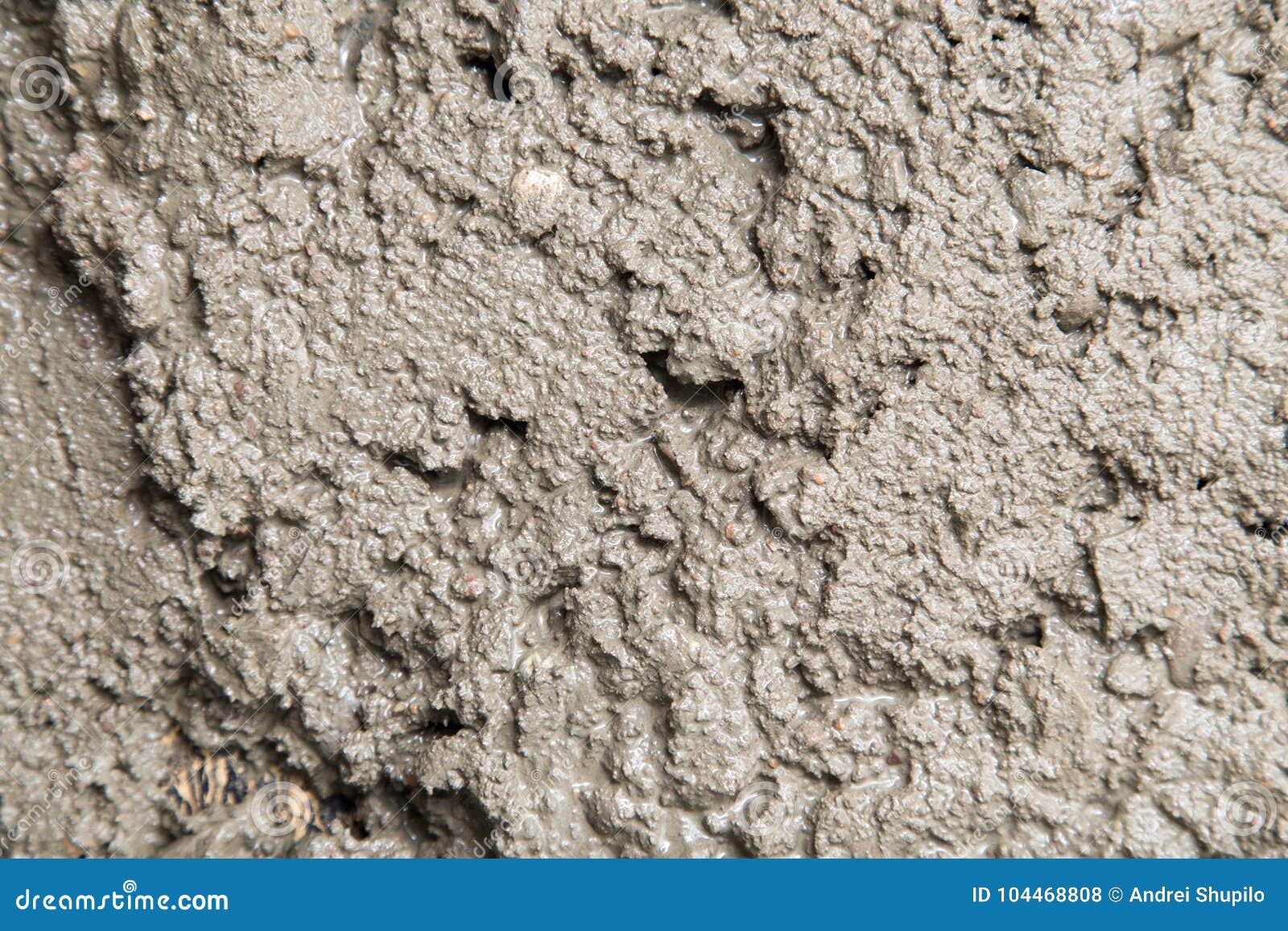 Background of the Fresh Cement Solution Stock Photo - Image of ...