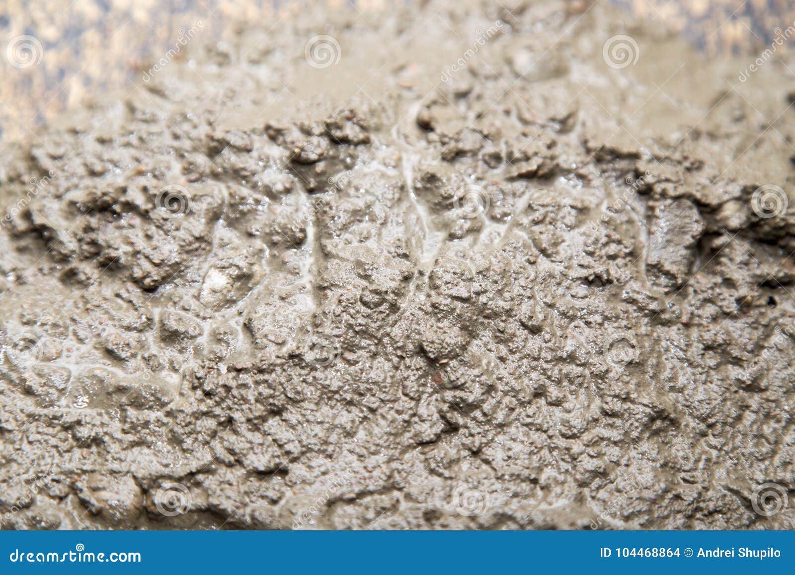 Background of the Fresh Cement Solution Stock Photo - Image of ...