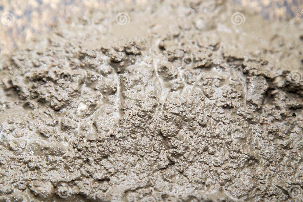 Background of the Fresh Cement Solution Stock Photo - Image of ...