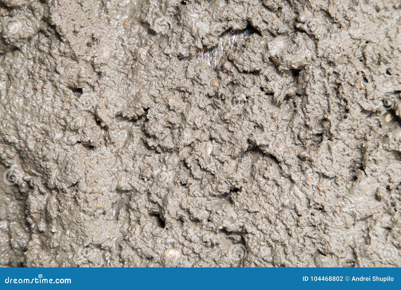 Background of the Fresh Cement Solution Stock Photo - Image of ...