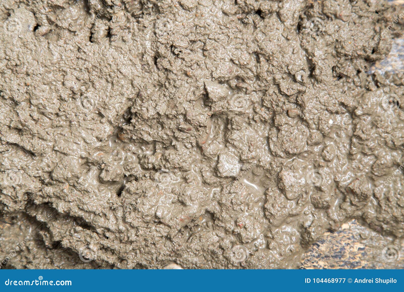 Background of the Fresh Cement Solution Stock Image - Image of ...