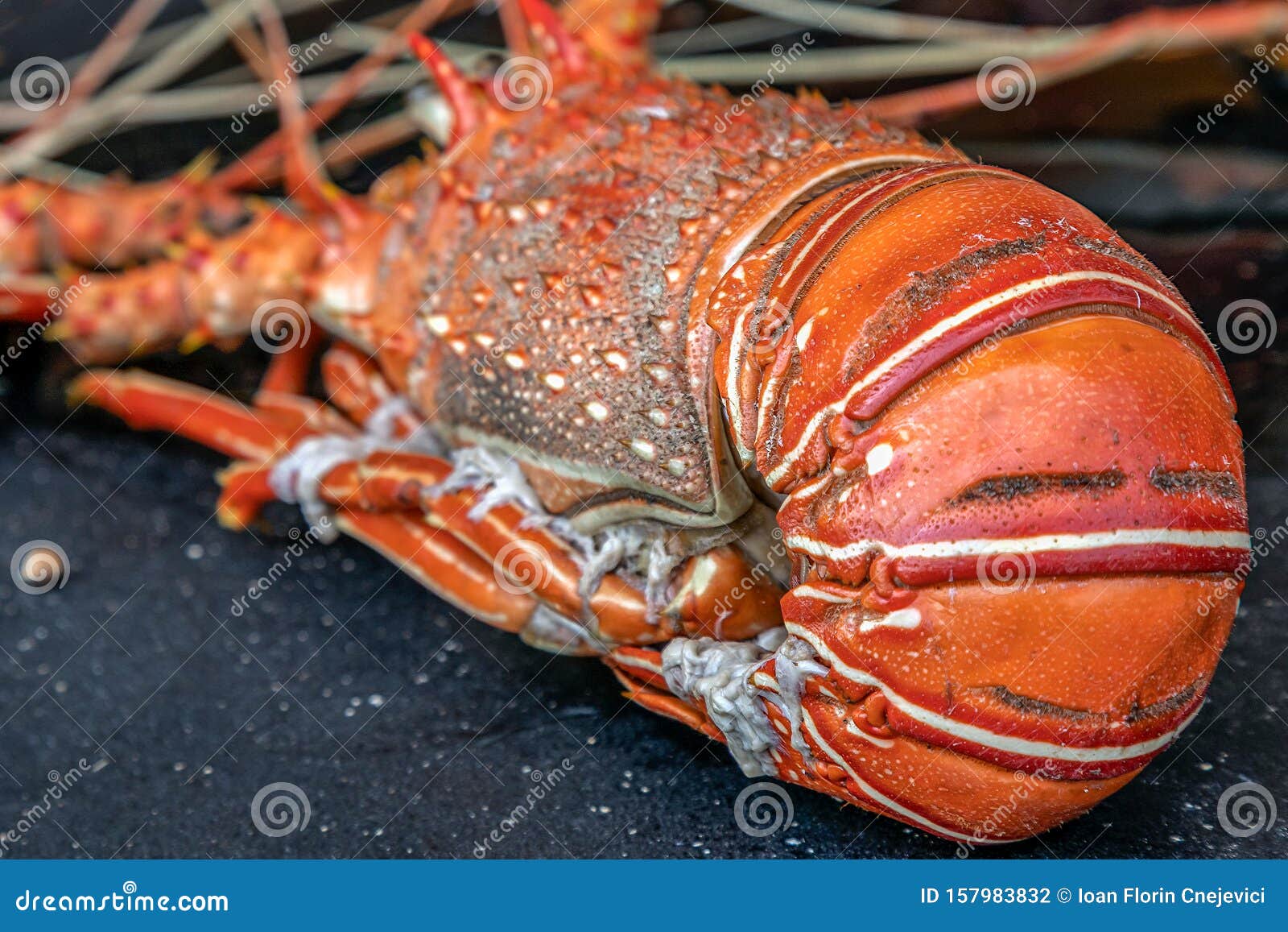 Crayfish in Pan Ready for Cooking Stock Photo - Image of delicacy ...