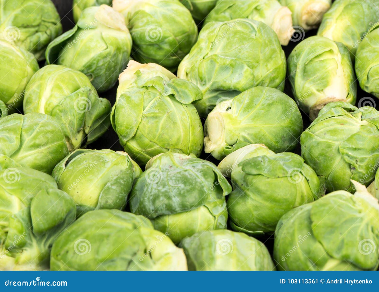 Raw brussel cabbage stock image. Image of health, heap - 108113561