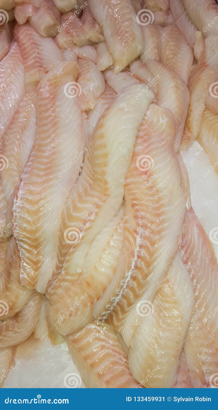 Background Fresh Piece Raw Cod Fish Stock Image - Image of haddock ...