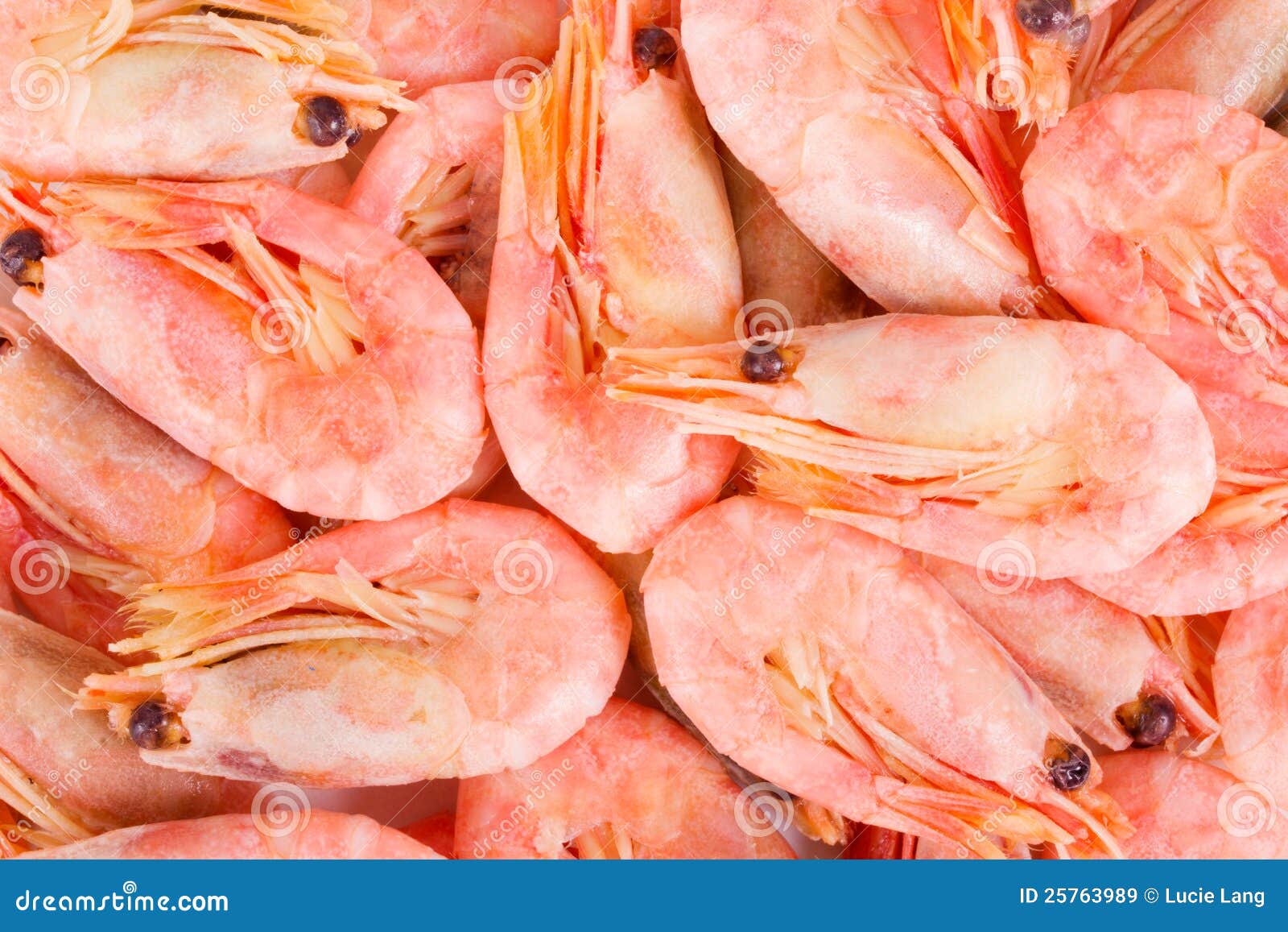 Background of fresh prwns stock image. Image of delicious - 25763989