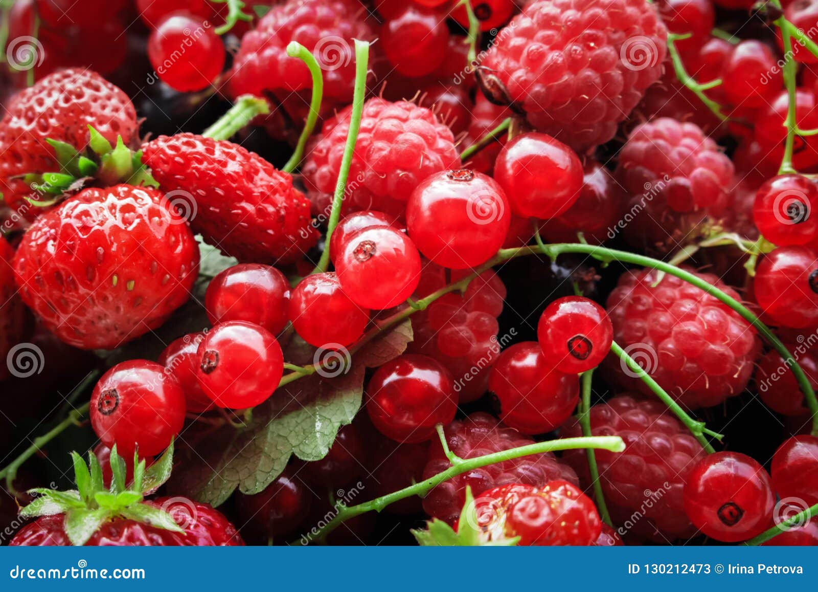 Background of Fresh Red Berries Stock Image - Image of currant ...