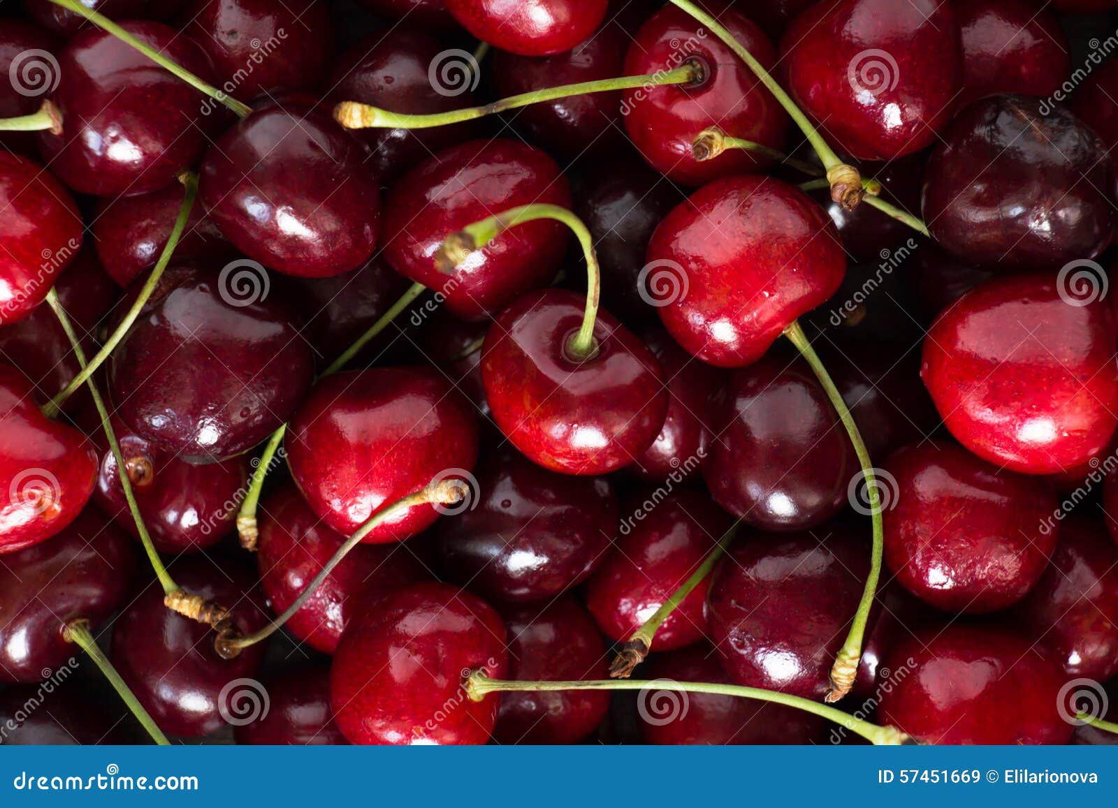 Background of Fresh Ripe Cherries. Stock Image - Image of healthy ...