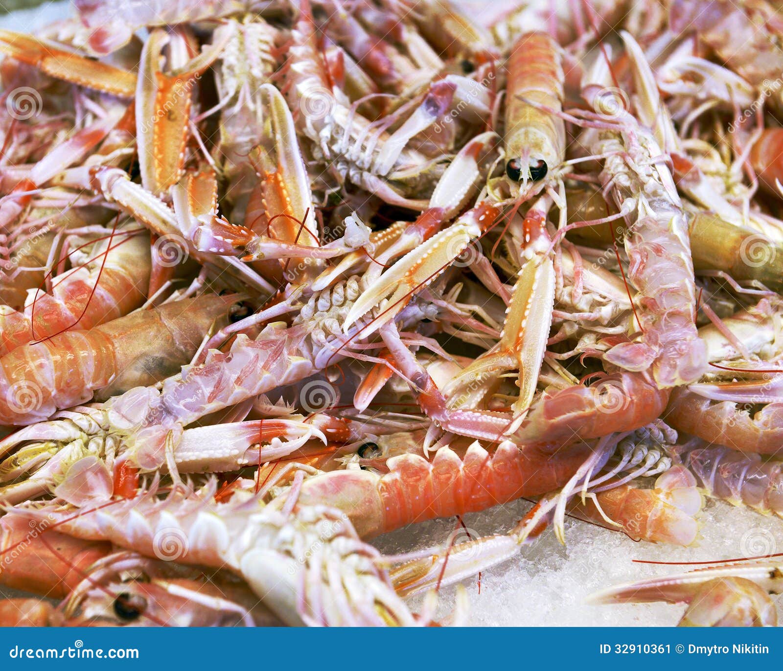 Background of fresh scampi stock image. Image of claws - 32910361