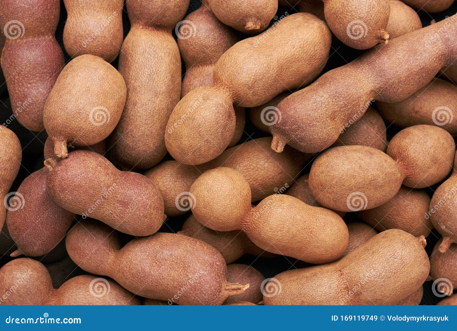 Background of Fresh Tamarind Fruit Stock Image - Image of freshness ...