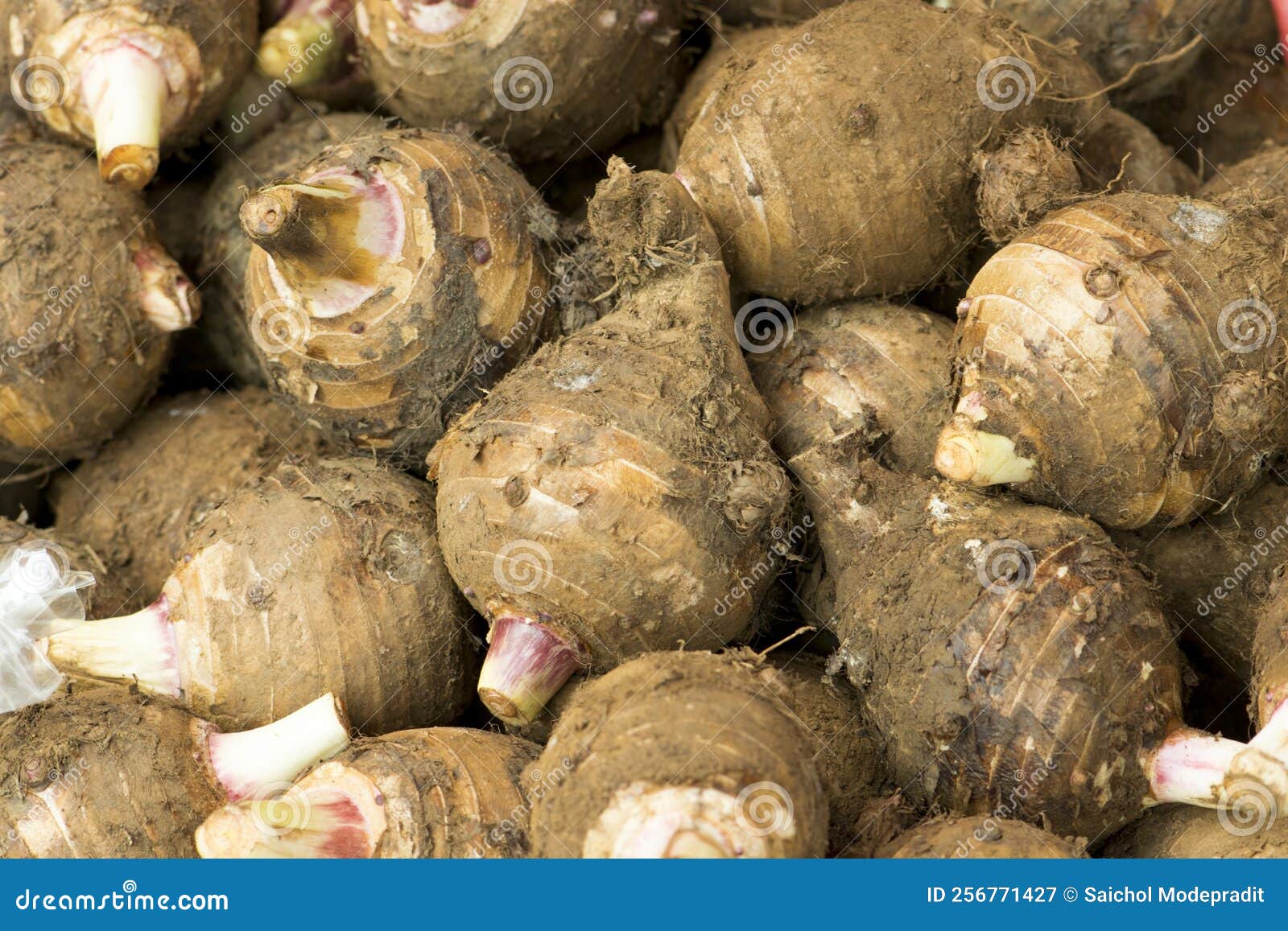 Background with Fresh Taro in Market Stock Image - Image of white ...