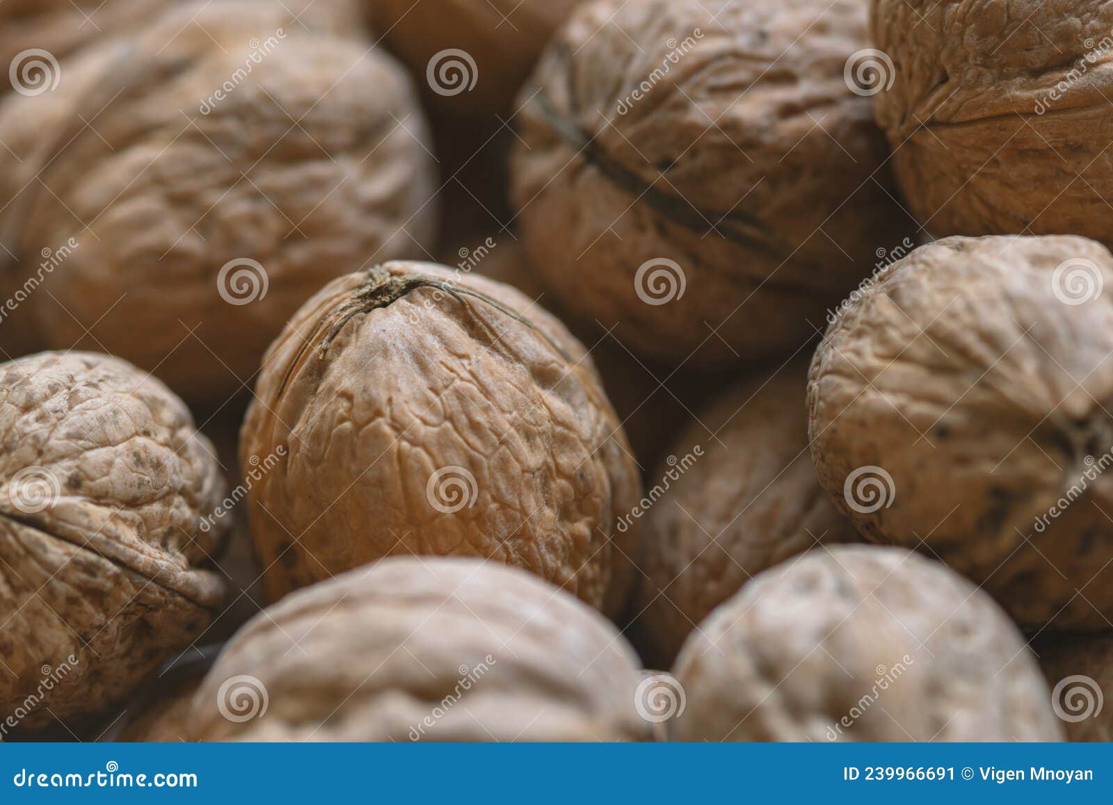 .Background of Fresh Walnuts Stock Image - Image of shell, walnut ...