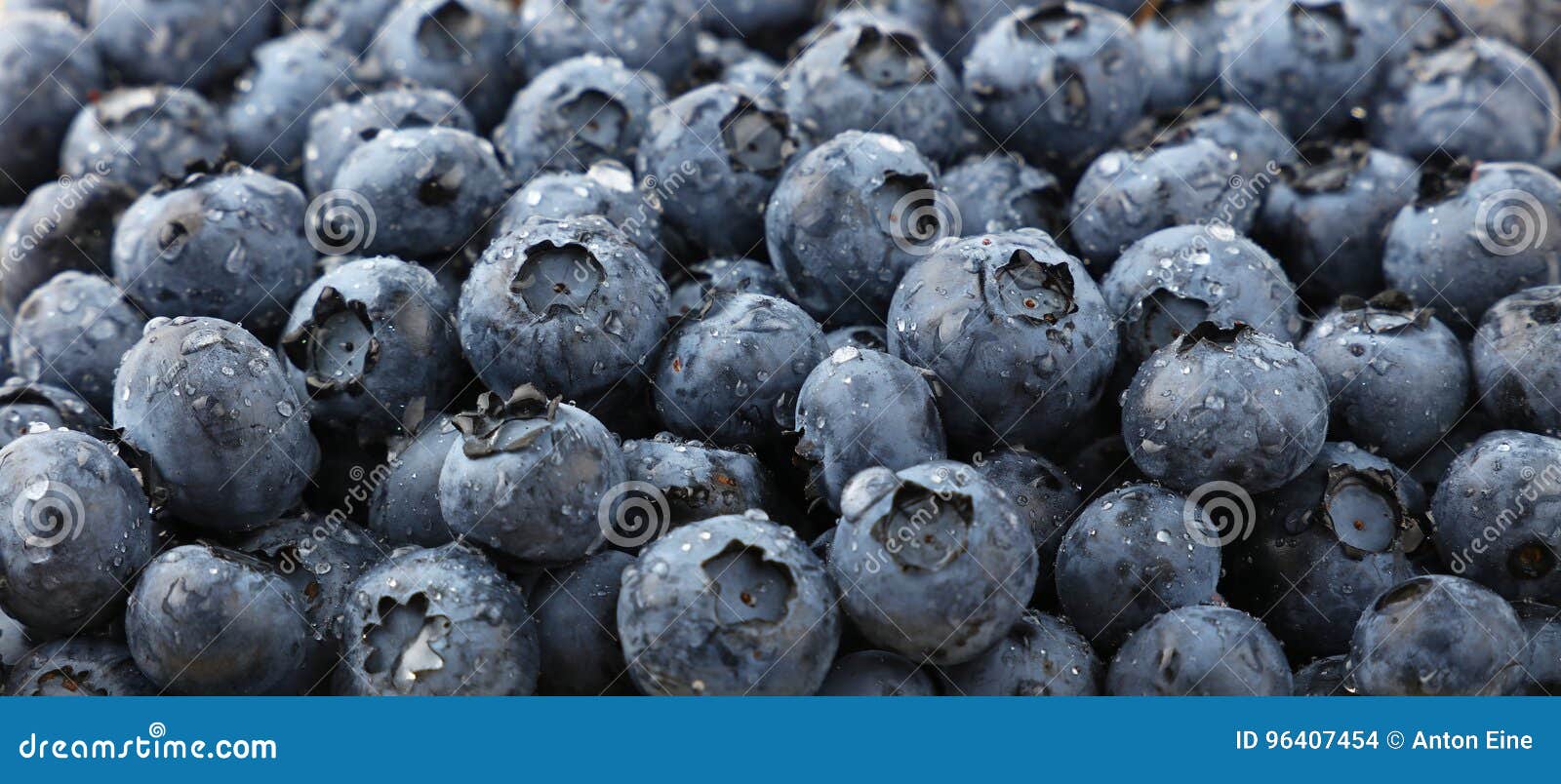 Background of Fresh Washed Blueberries Close Up Stock Photo - Image of ...