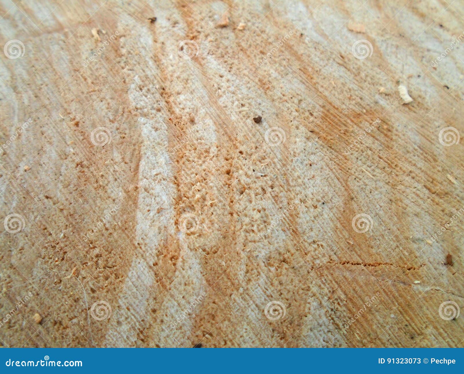 Background of Freshly Cut Wood Stock Image - Image of healthy, grain ...