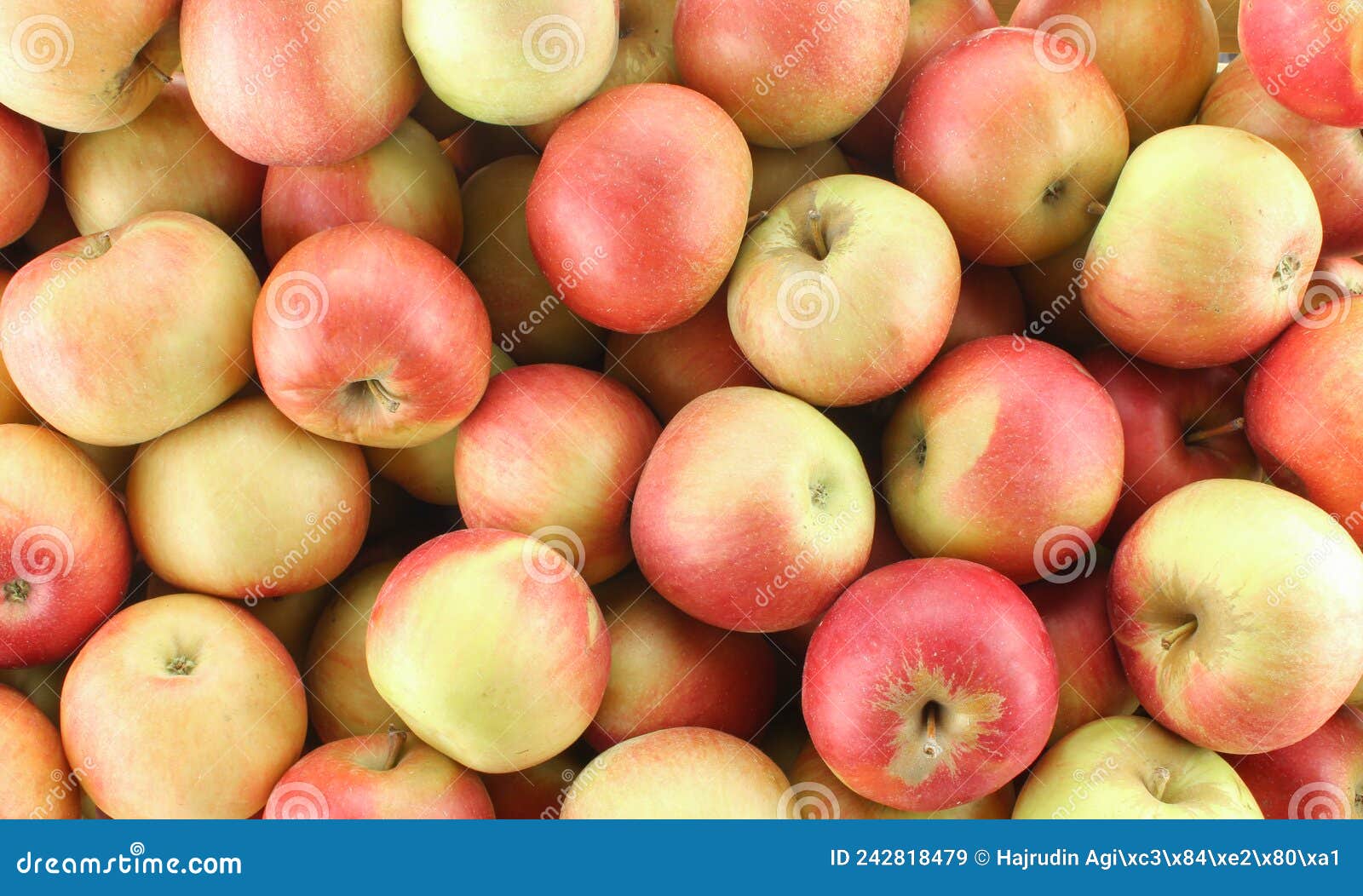 Background Full Of Colorful Apples. Organic Fruit Texture Royalty-Free ...