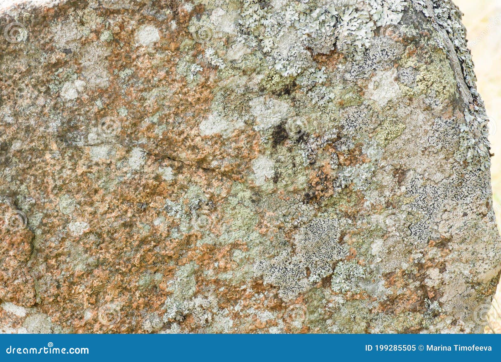 Background from Gabbro Diabase Igneous Rock. Granite Surface ...