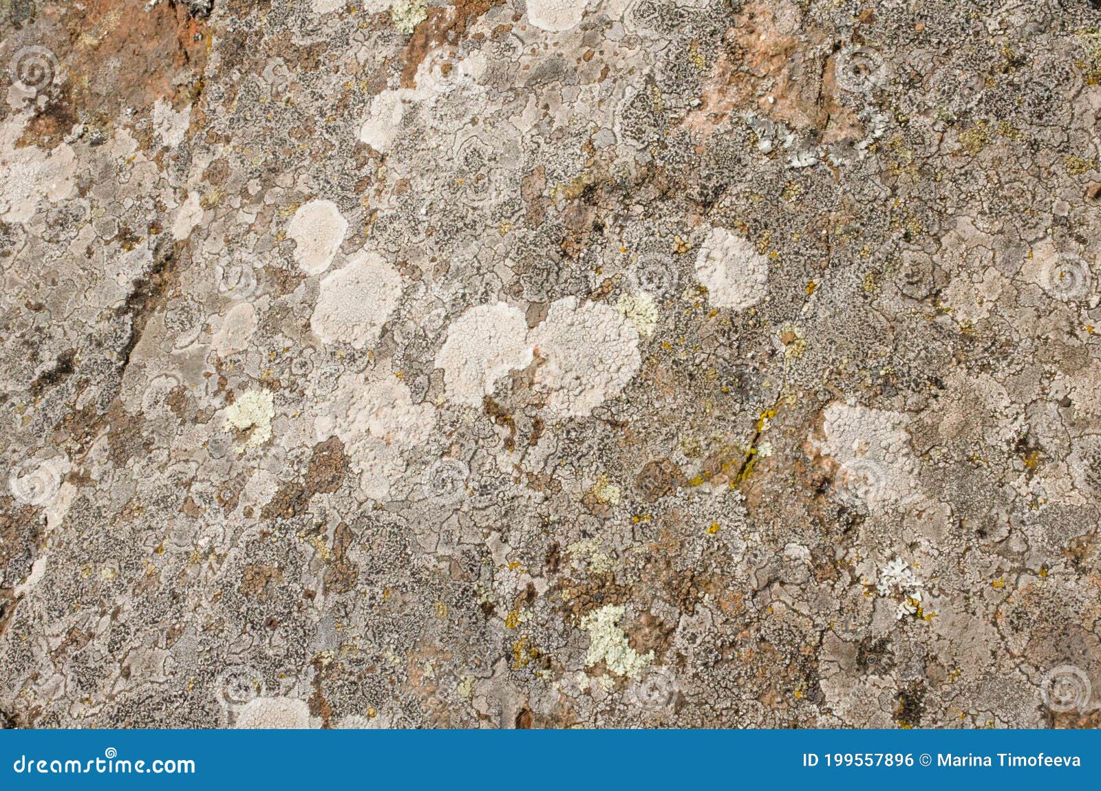 Background from Gabbro Diabase Igneous Rock. Granite Surface ...