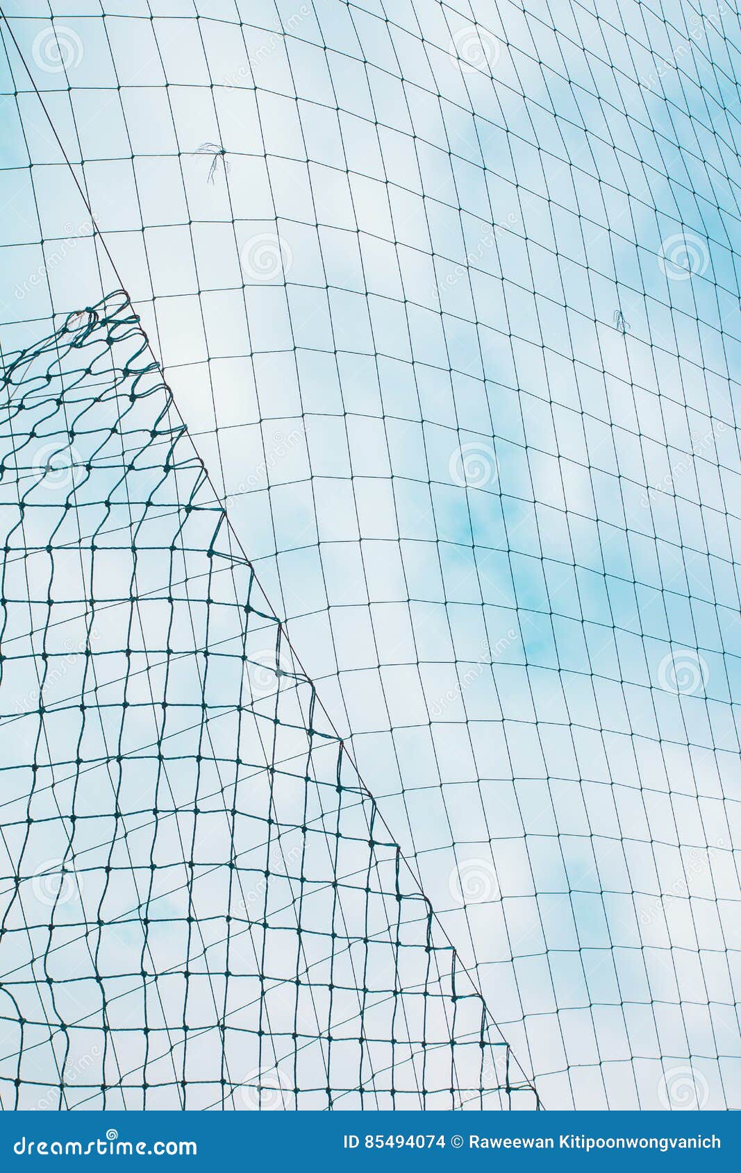 Netball Player White Background Stock Photos - Free & Royalty-Free ...