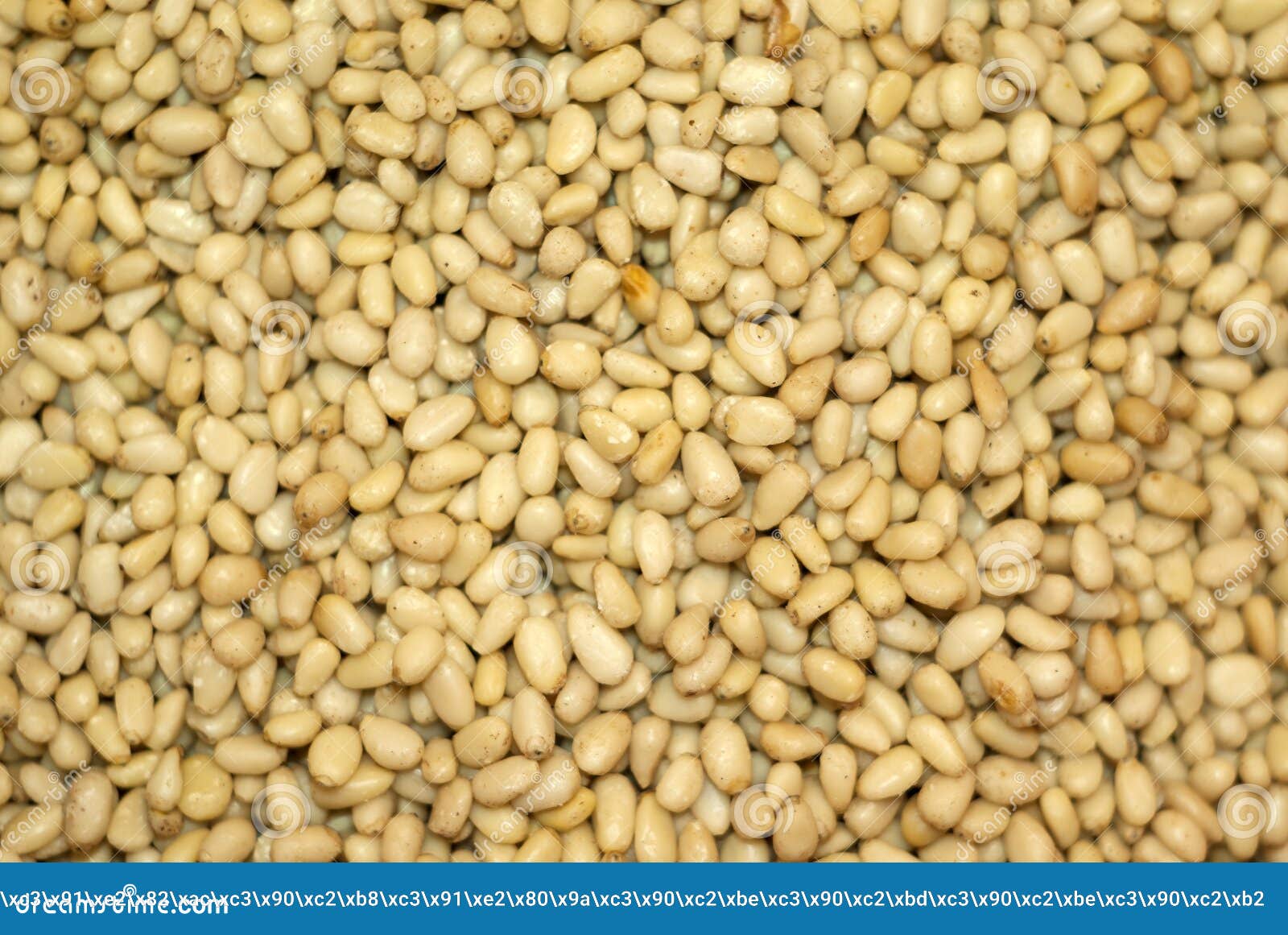 Background - Kernels of Peeled Pine Nuts Stock Photo - Image of cookery ...