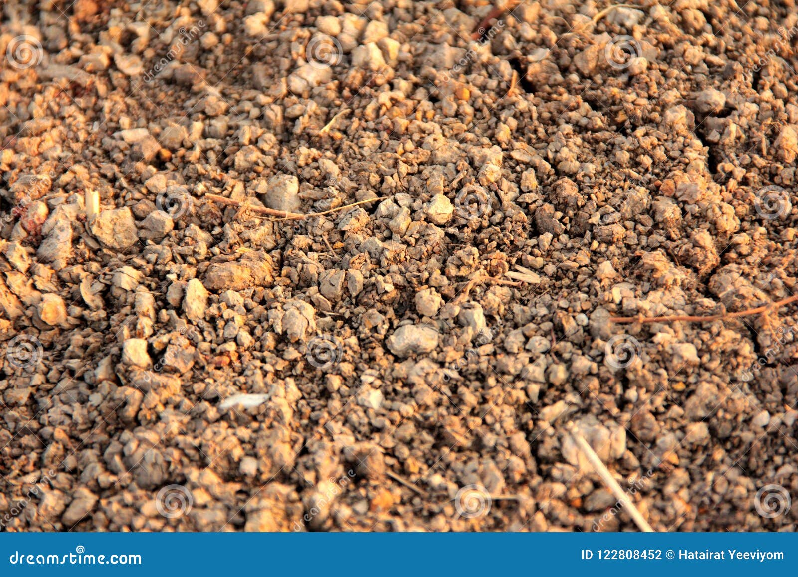 Background of Granules Soil for Plant Stock Photo - Image of dirty ...