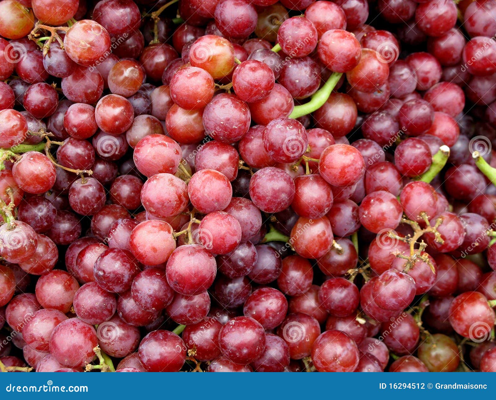 Background of grapes stock photo. Image of ingredients - 16294512