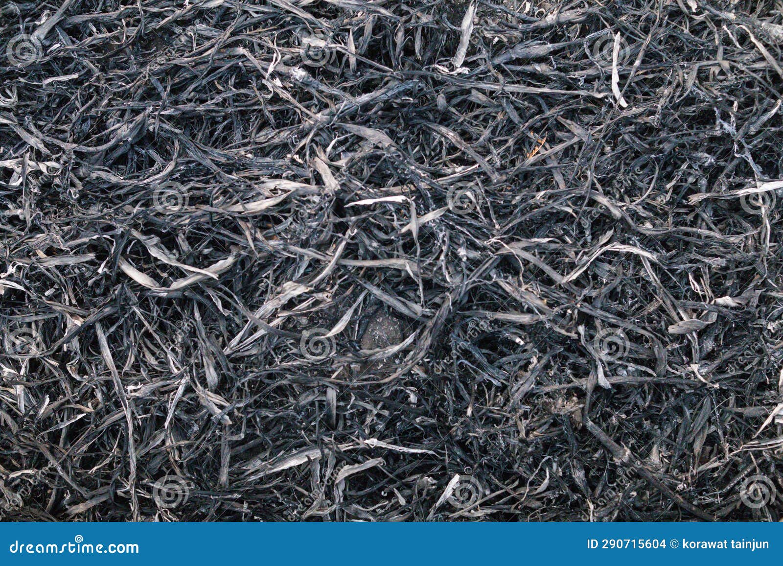 Background of Grass Field that Has Been Burnt To Black Ash and Has ...