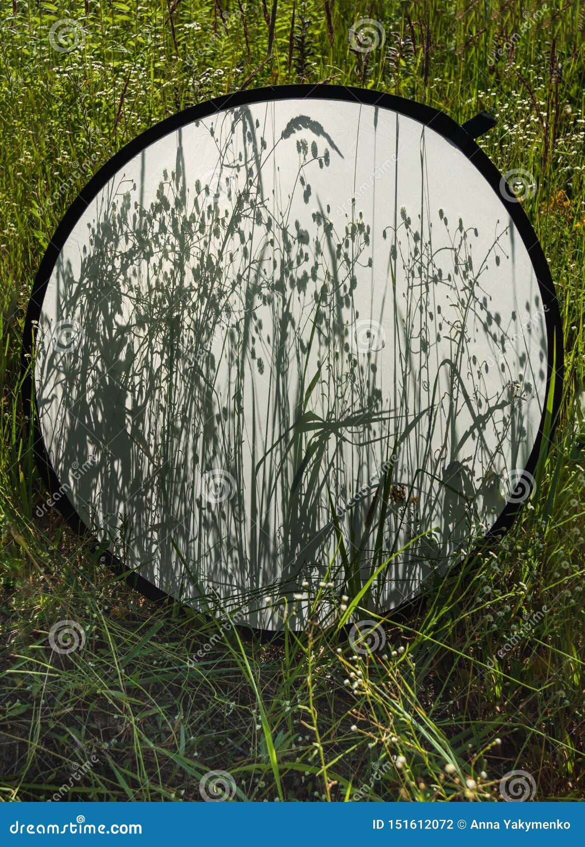 151 Diffuse Shadows Photos - Free & Royalty-Free Stock Photos from ...