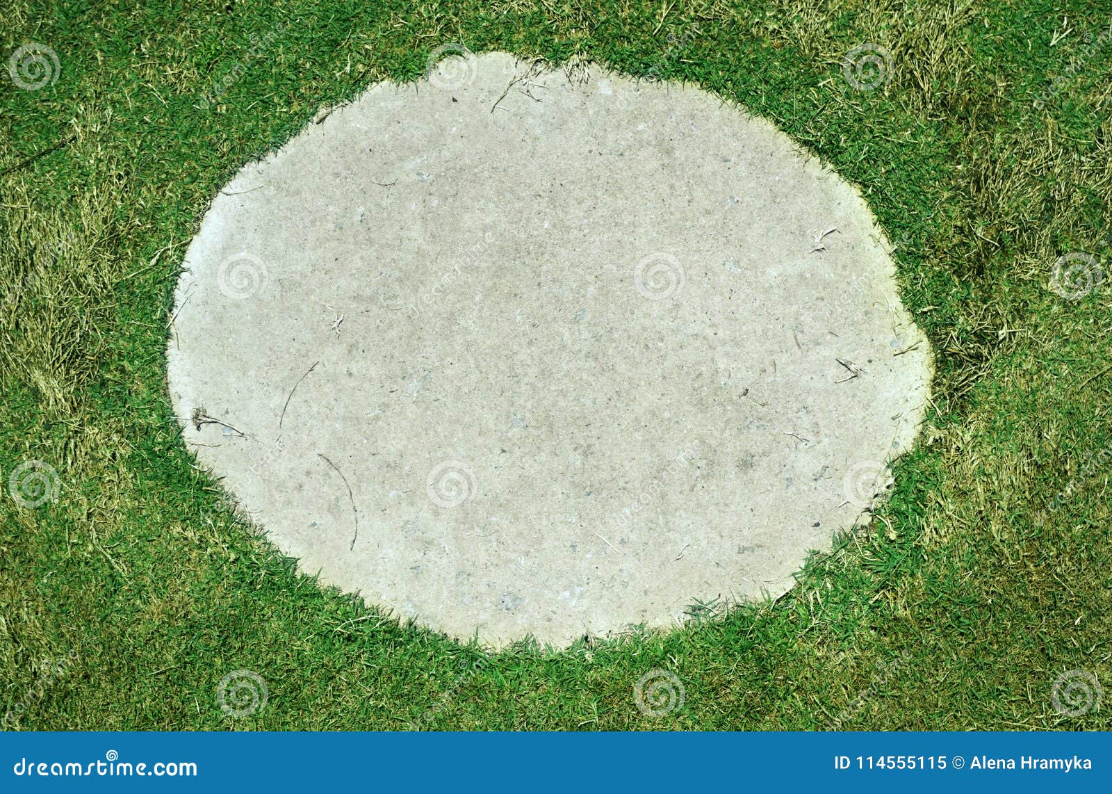 Background, Grass through Slab on the Pavement. Stock Image - Image of ...