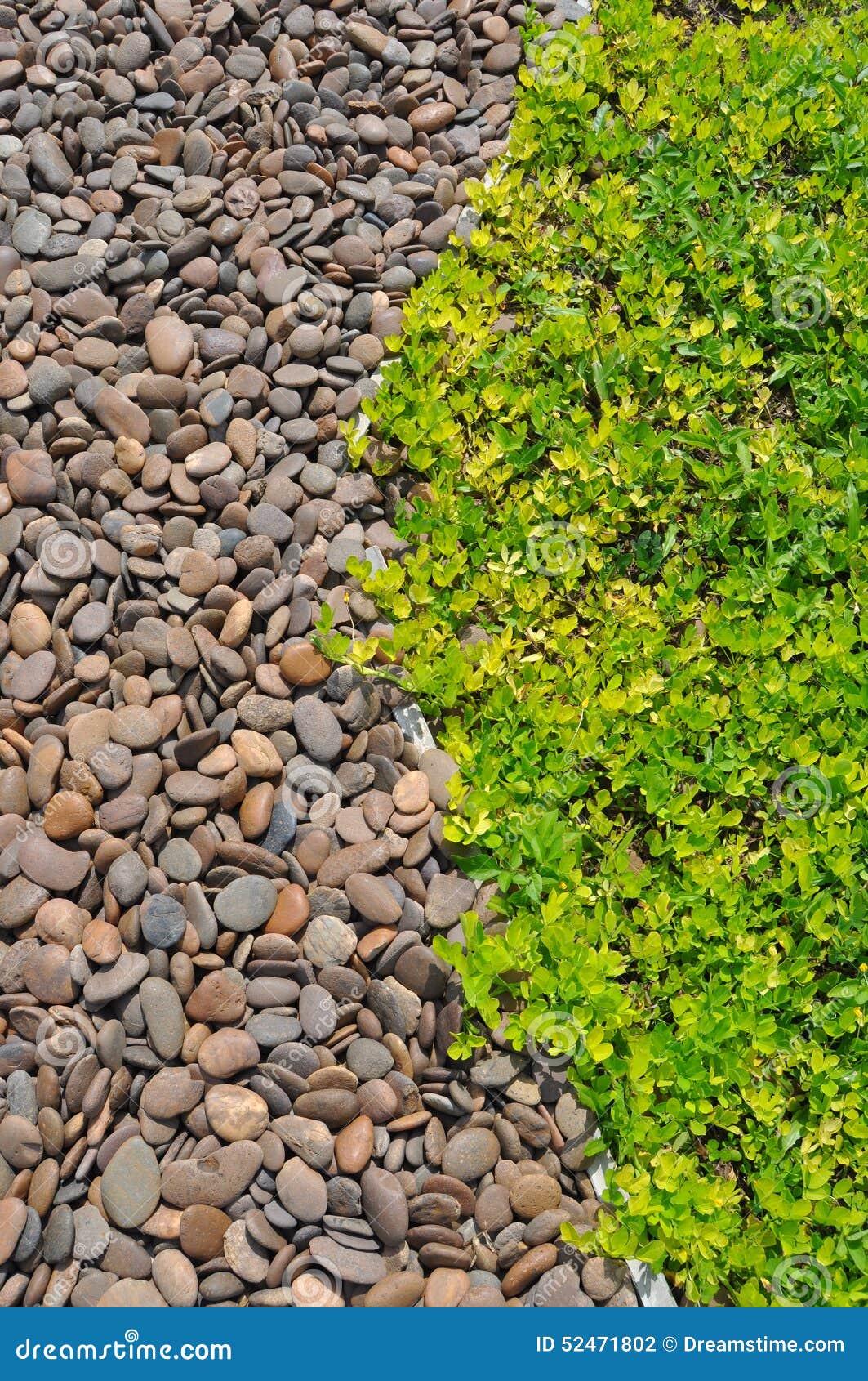Background of Grass and Stone Stock Photo - Image of rural, green: 52471802