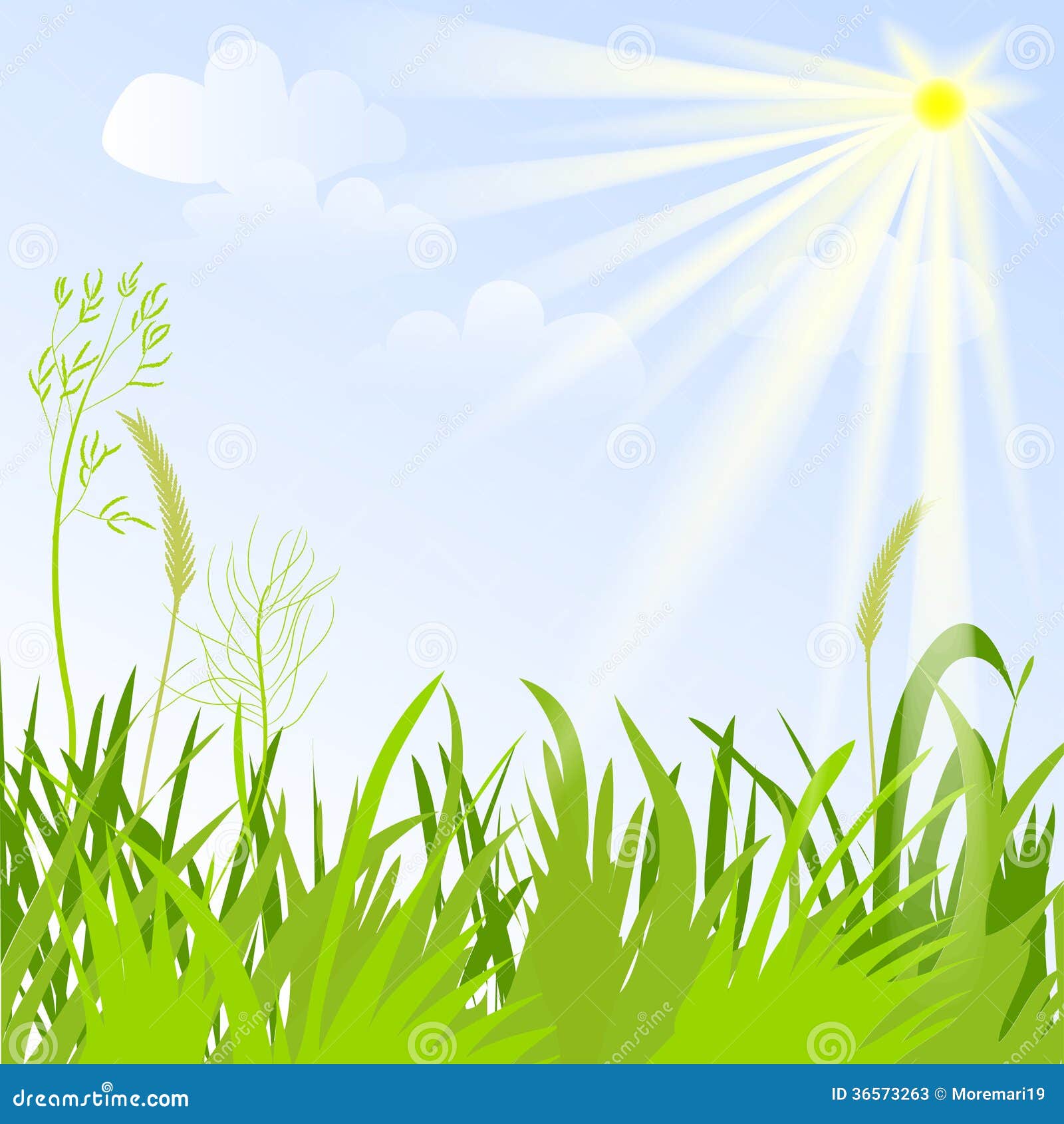 Background of Grass, Sun and Sky Stock Illustration - Illustration of ...