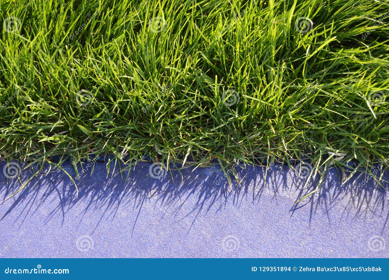 Grass Texture and Blue Concrete Stock Photo - Image of field, concrete ...