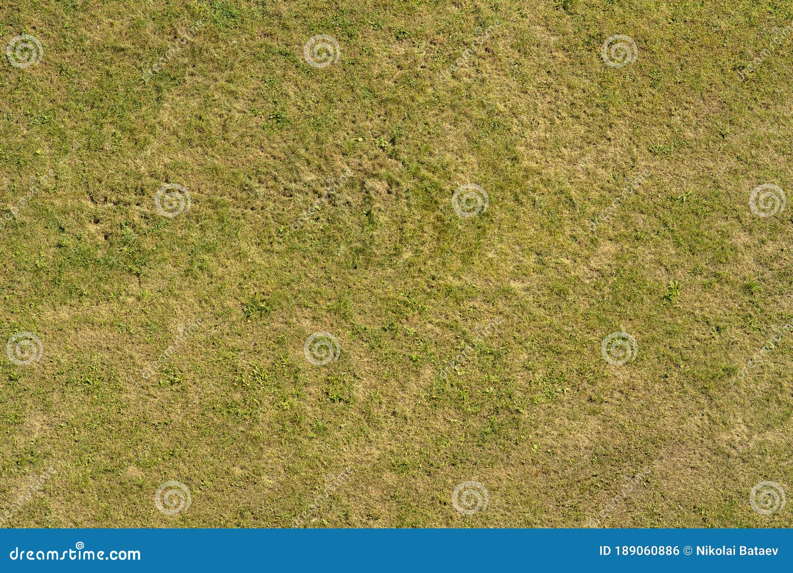 Texture of Grass in the Fall Stock Photo - Image of lawn, grassy: 189060886