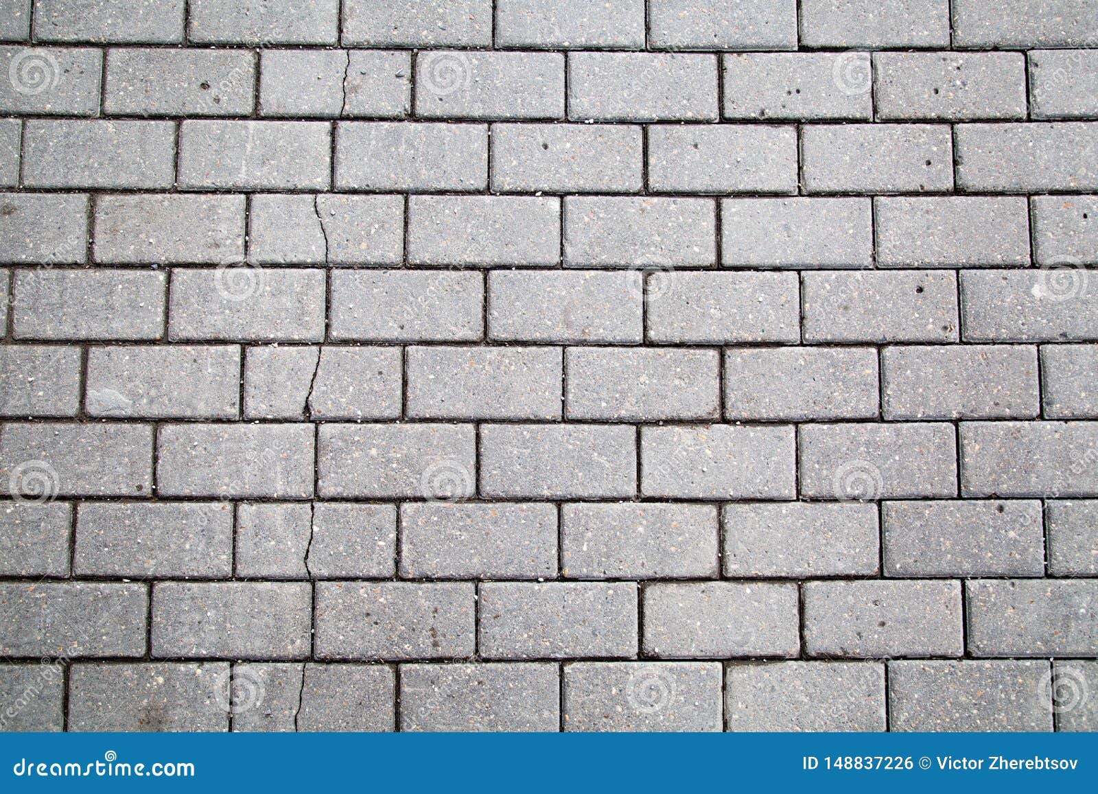 Background of Gray Artificial Pavers Rectangular Shape with a Crack ...