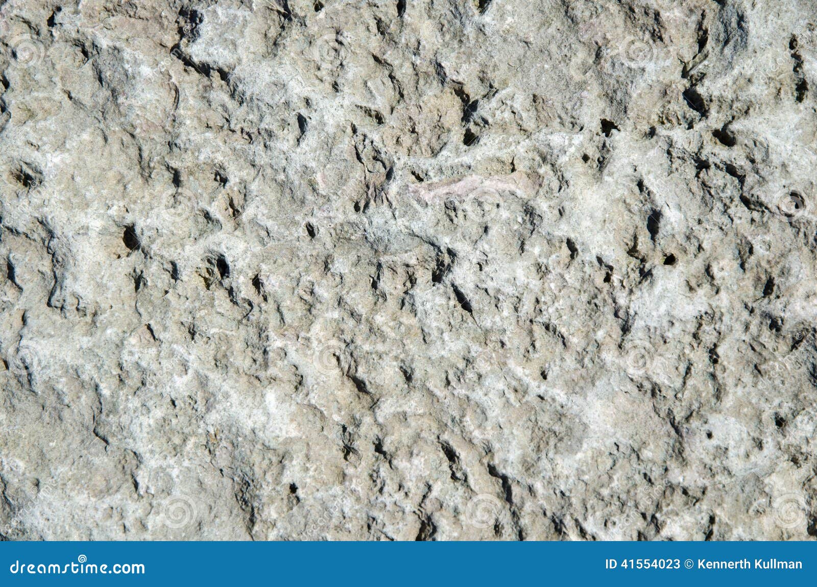 Gray Limestone Carbonate Sedimentary Rock On Gravel Background. Royalty ...