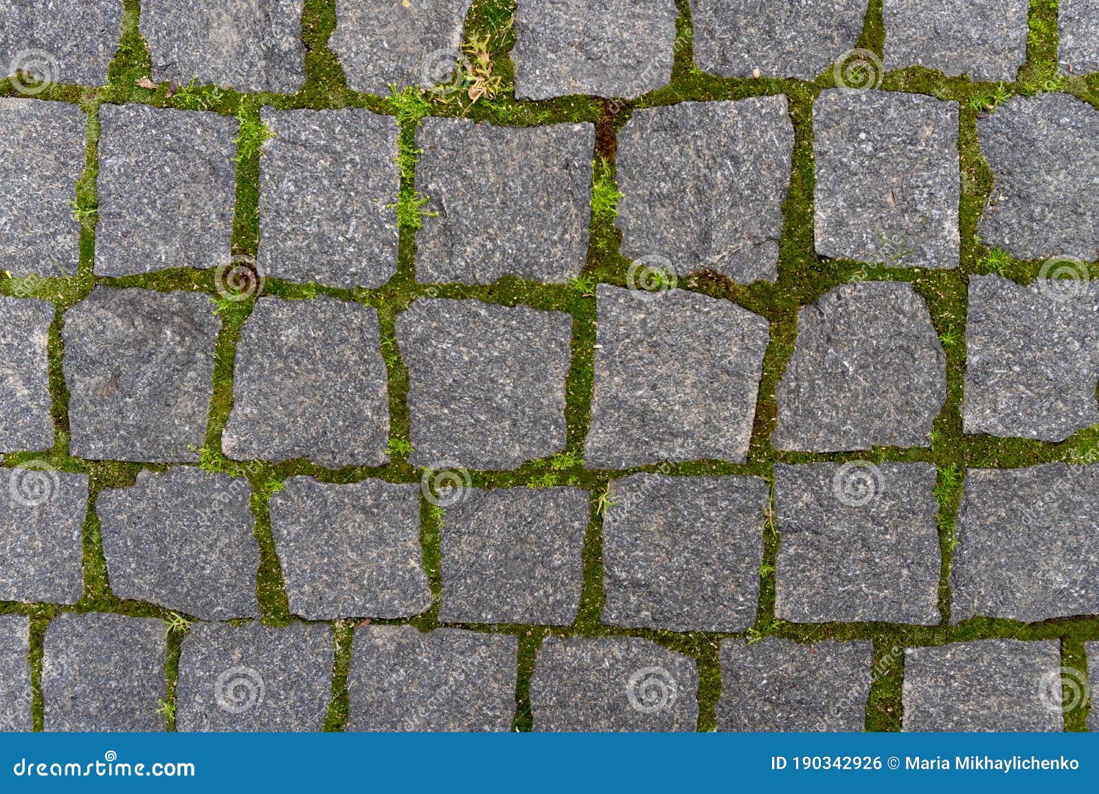 Long Dark Green Grass Tile Photos - Free & Royalty-Free Stock Photos ...