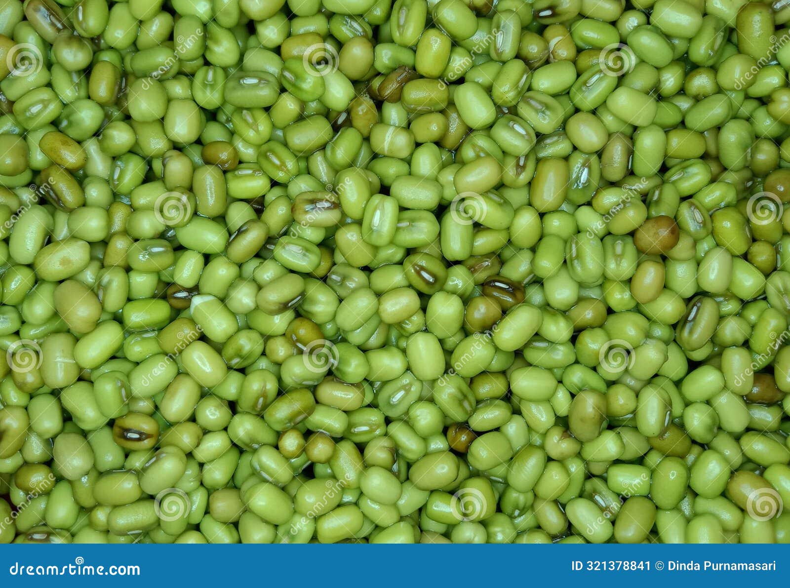 Background of Green Bean Seeds Stock Image - Image of diet, closeup ...