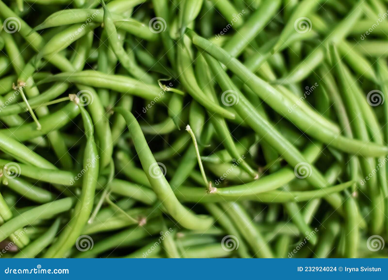 Background from Green Bean String. Close Up Stock Photo - Image of ...