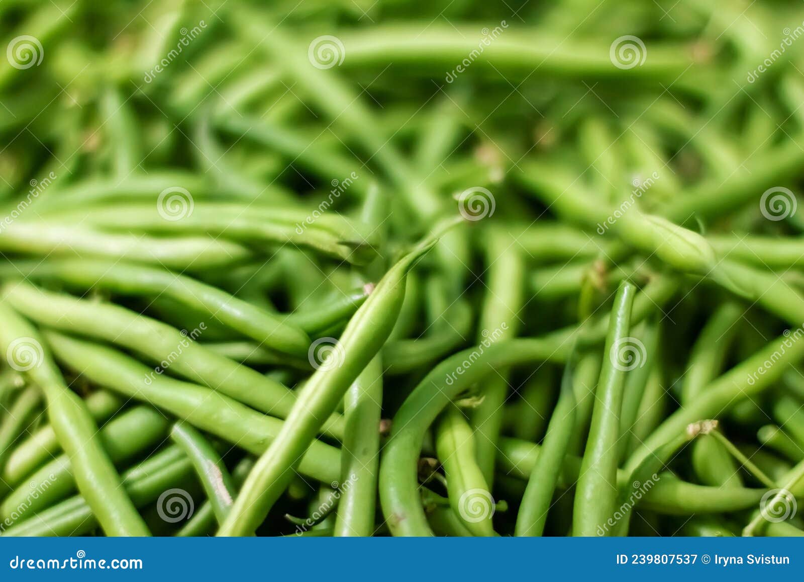 Background from Green Bean String. Close Up Stock Image - Image of ...