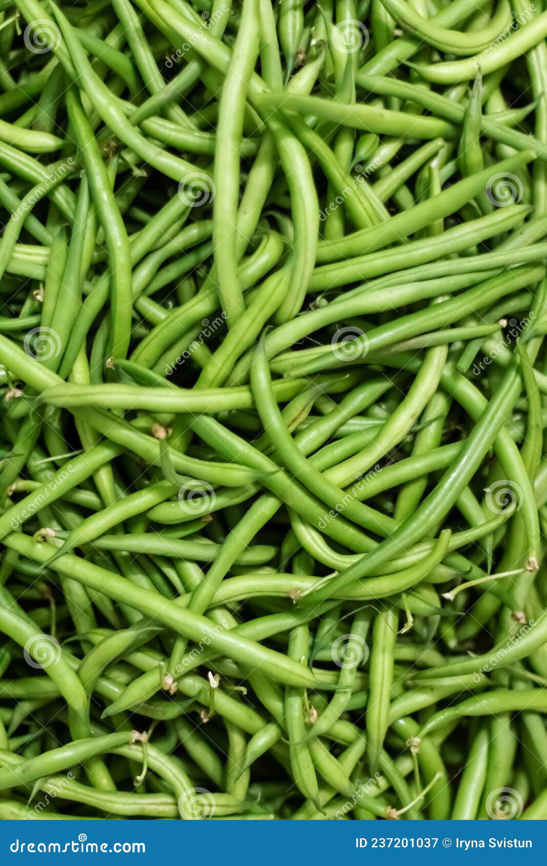 Background from Green Bean String. Close Up Stock Image - Image of bean ...