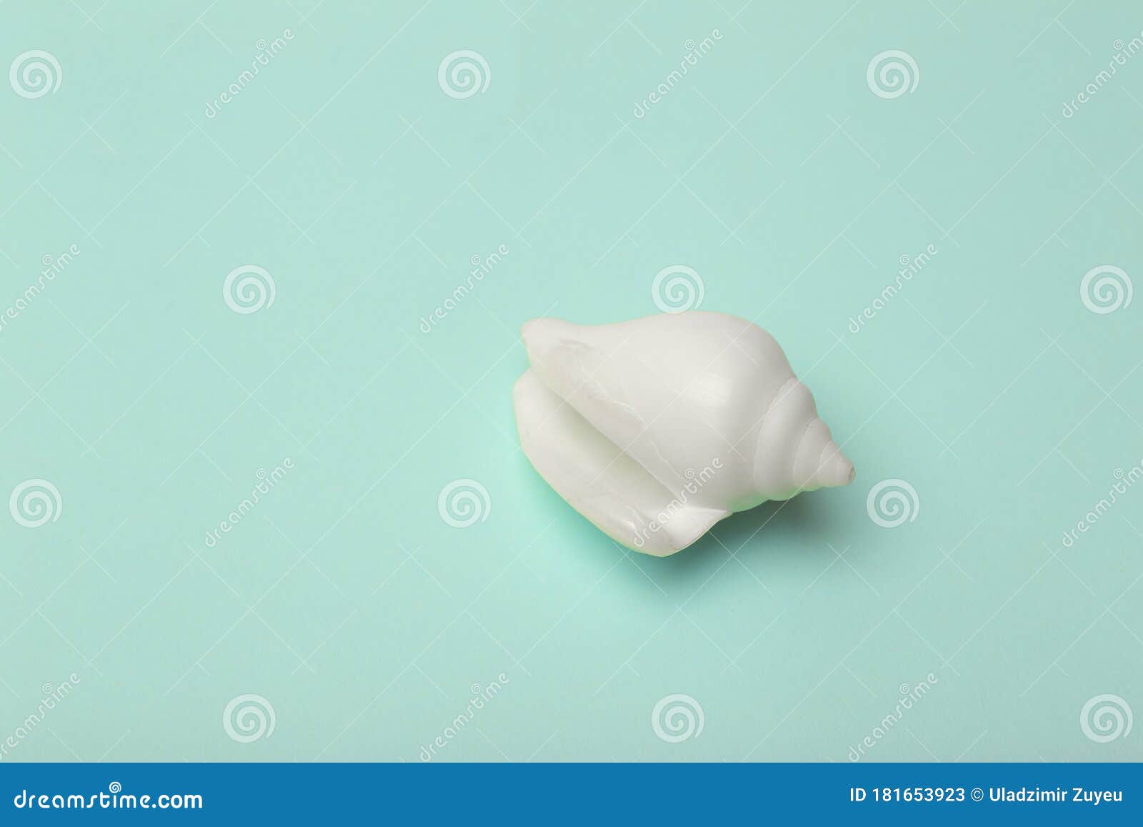 Background Green Blue Color with Seashells. Sea and Ocean Background ...