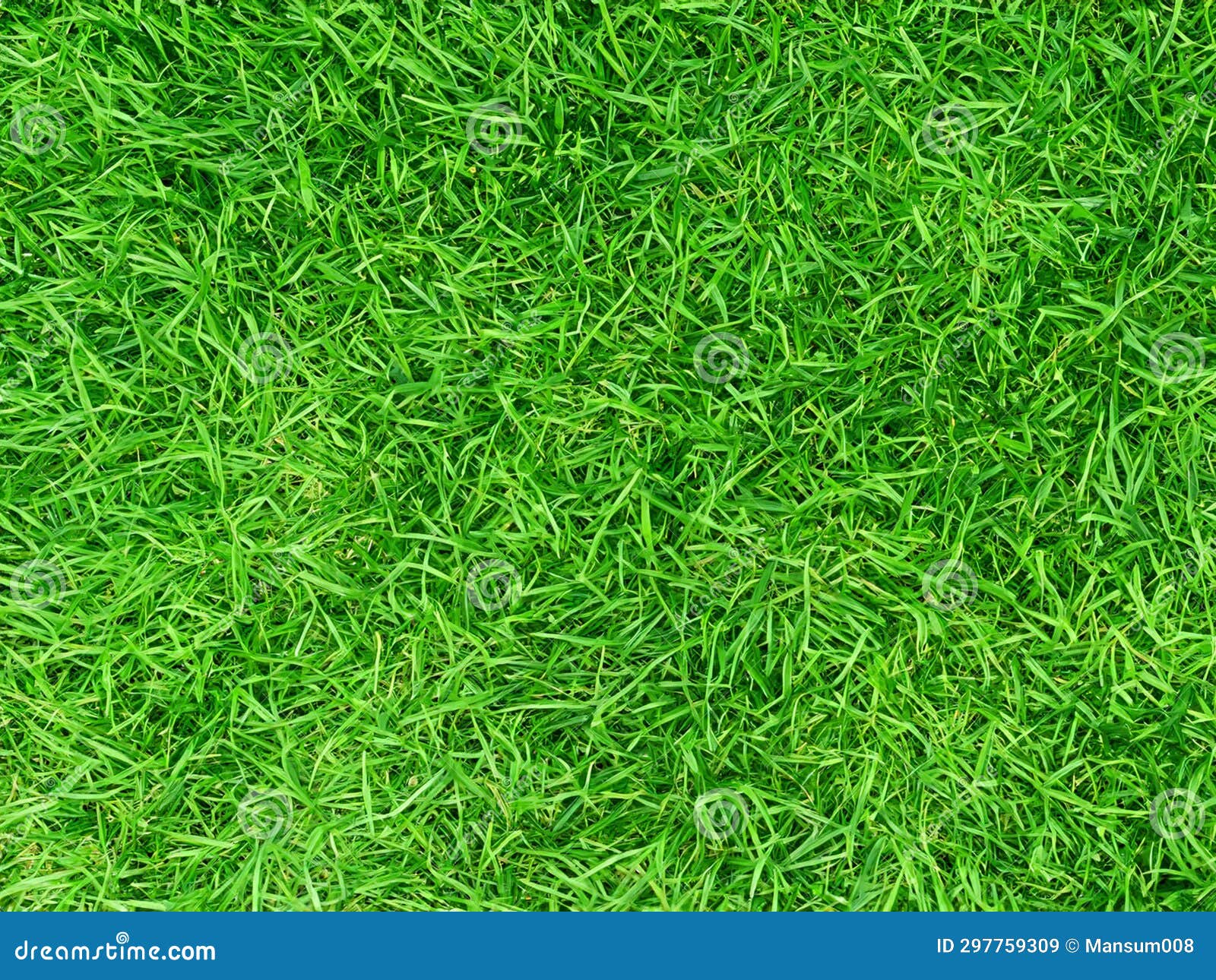 Background from Green Grass Texture Pattern Stock Image - Image of ...