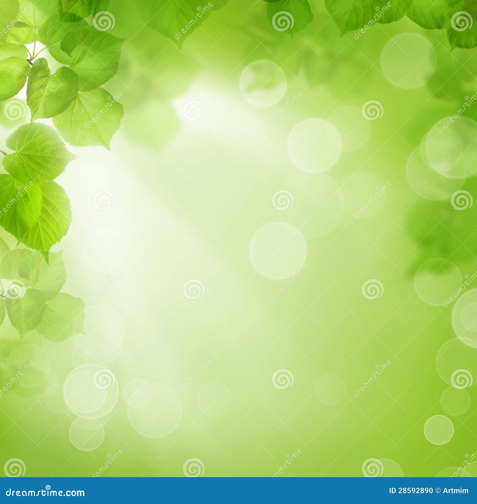 Background of Green Leaves, Summer or Spring Stock Photo - Image of ...
