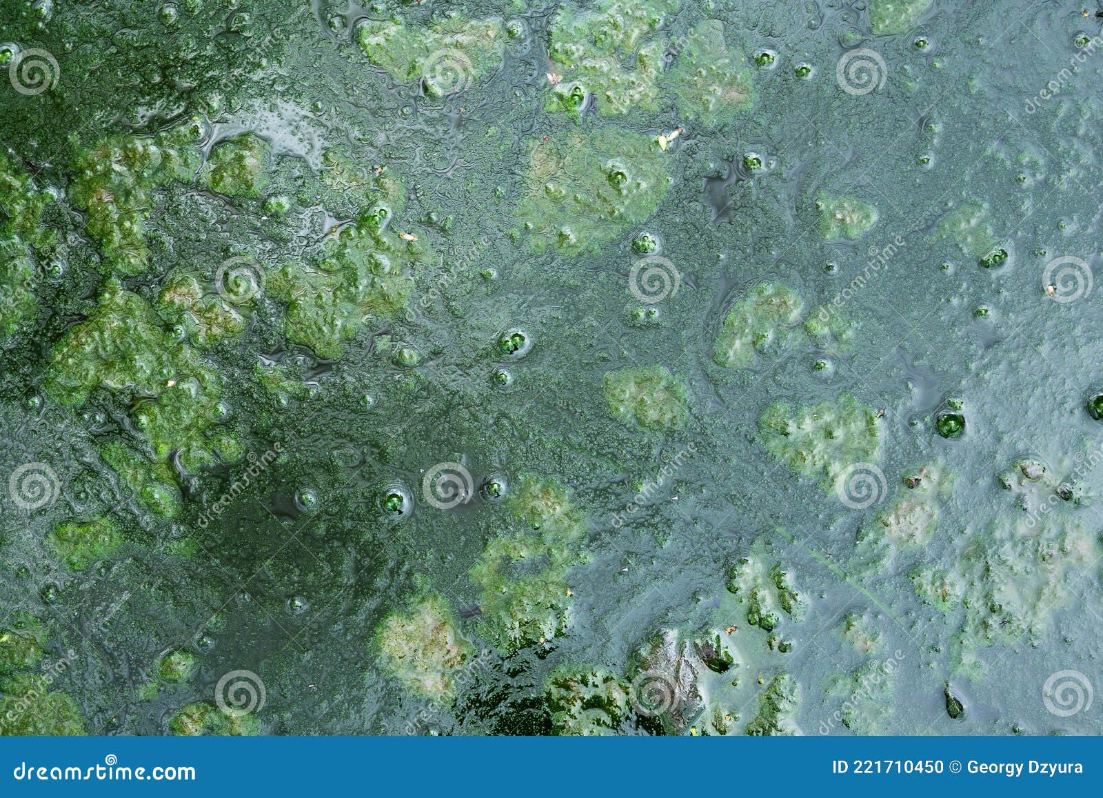 Background with a Green Mud on the Puddle Surface Stock Photo - Image ...