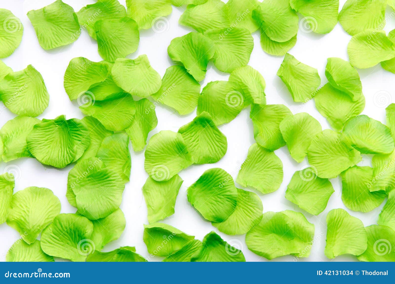 Background of green petals stock photo. Image of petals - 42131034