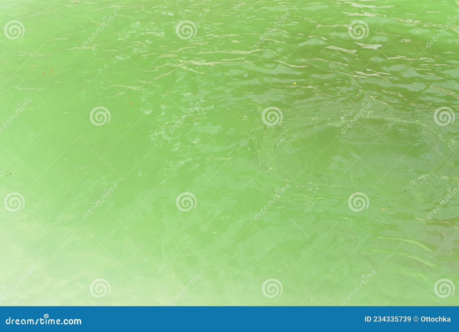 Green water in the pool stock image. Image of light - 234335739