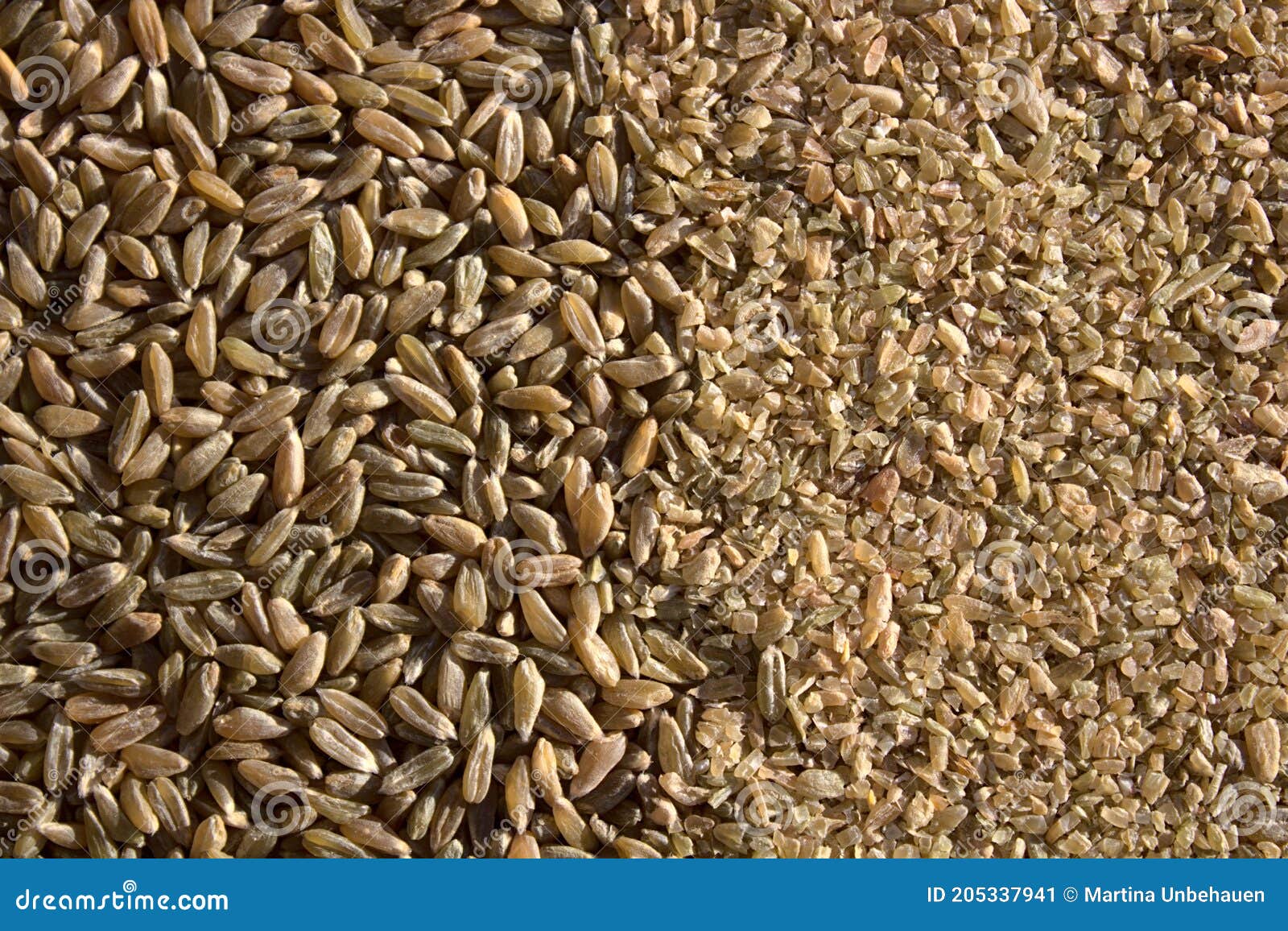 A Background with Green Spelt Stock Image - Image of spelt, seed: 205337941