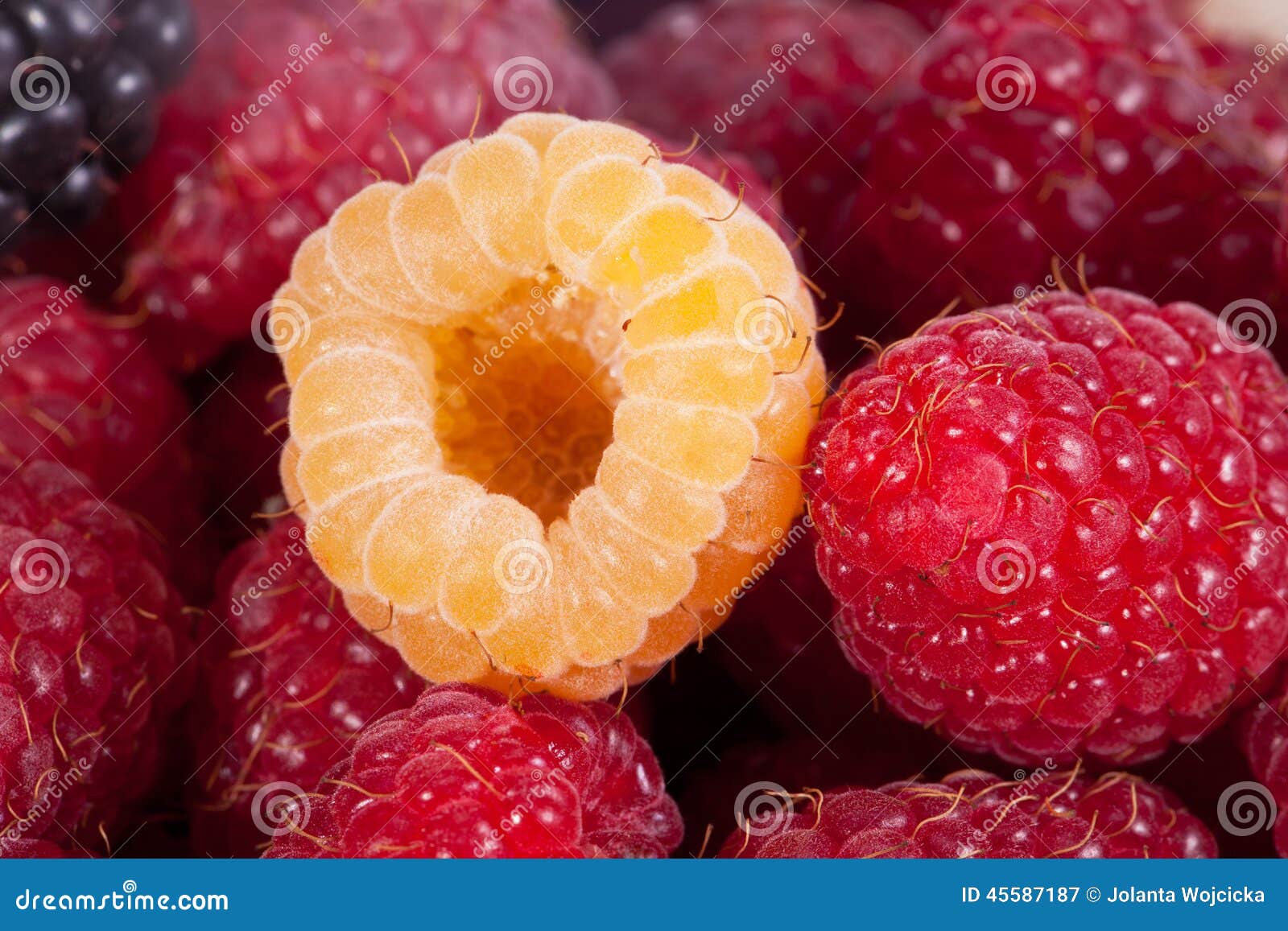 Background of Group of Colorful Raspberries Macro Stock Image - Image ...
