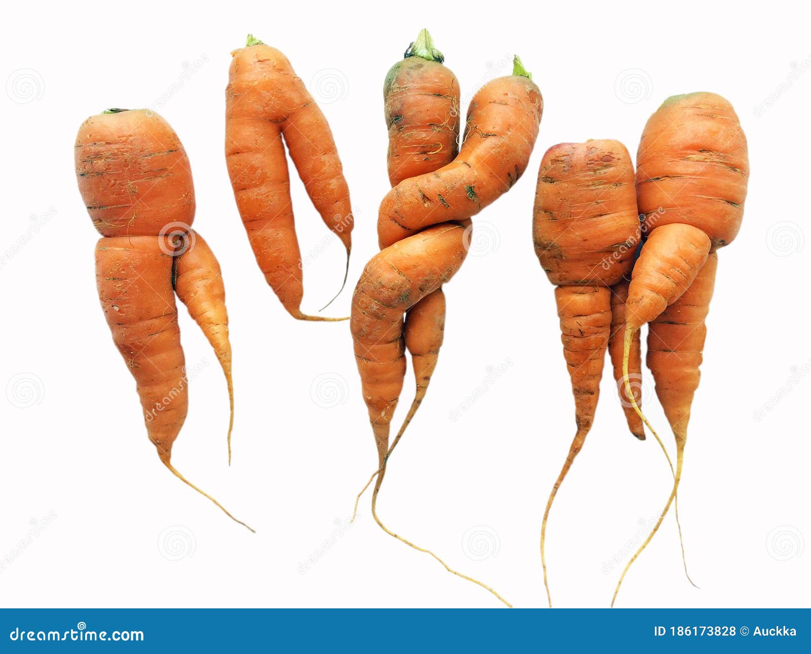 Odd Shaped Carrots Isolated on White Stock Photo - Image of nature ...
