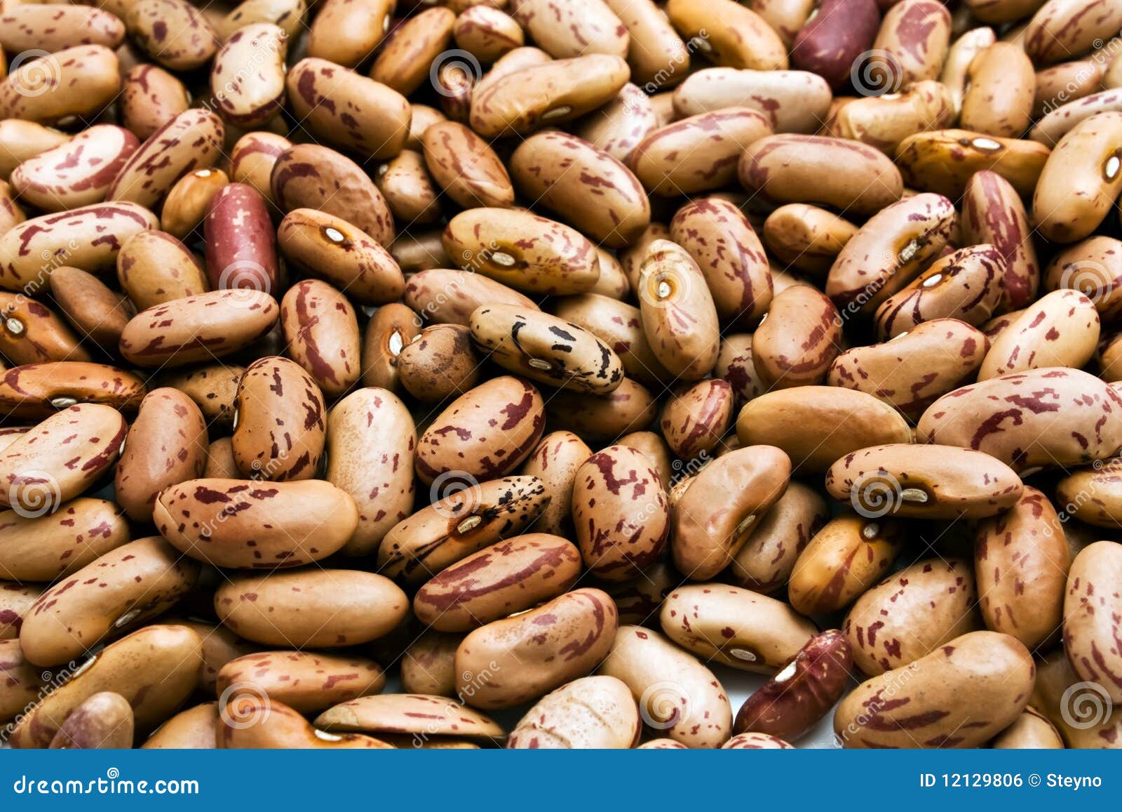 Background of Haricot Beans Stock Photo - Image of vegetable, nutrition ...